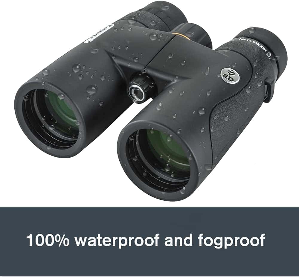 celestron-nature-dx-ed-8×42-premium-binoculars-extra-low-dispersion ...